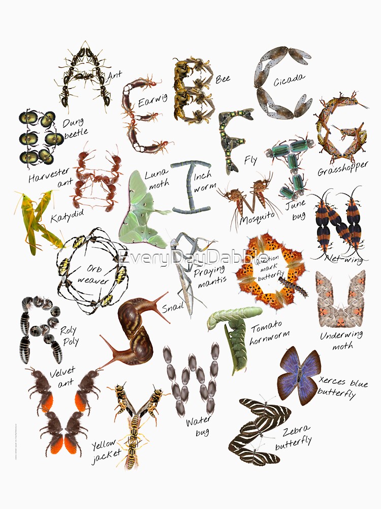"Insect Alphabet | Bug Alphabet | Phonetic Bug Lover ABCs" T-shirt for ...