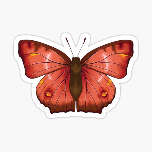 "Red Butterfly" Sticker for Sale by wearenakshatra | Redbubble