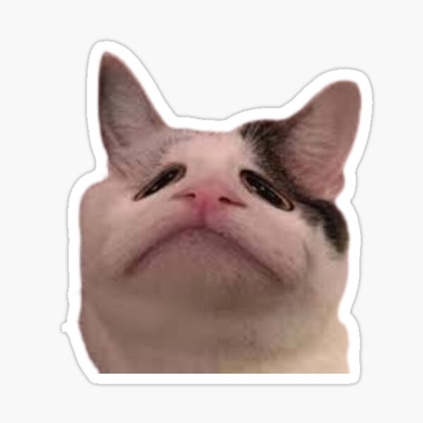 Crying Cat Meme Sticker Sticker For Sale By Achraafshop Redbubble