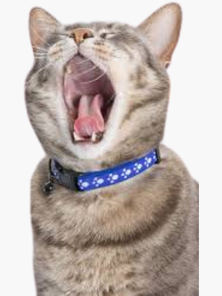 Crying Cat Meme Sticker Sticker For Sale By Achraafshop Redbubble