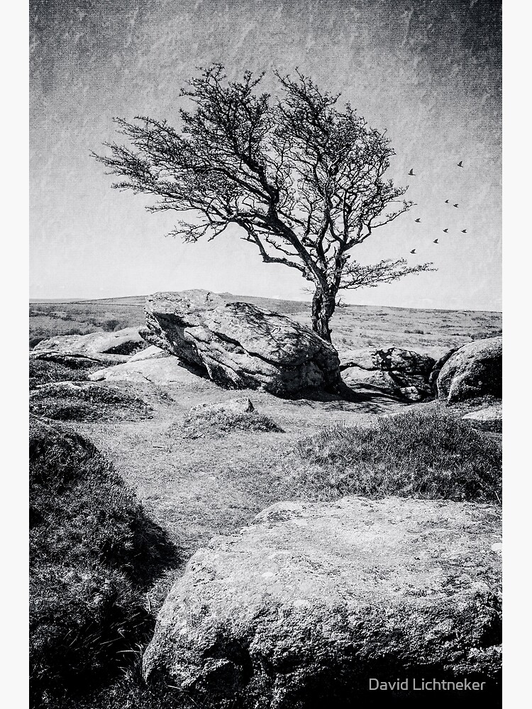 "The Wild and Windy Moor" Poster for Sale by davidlich | Redbubble