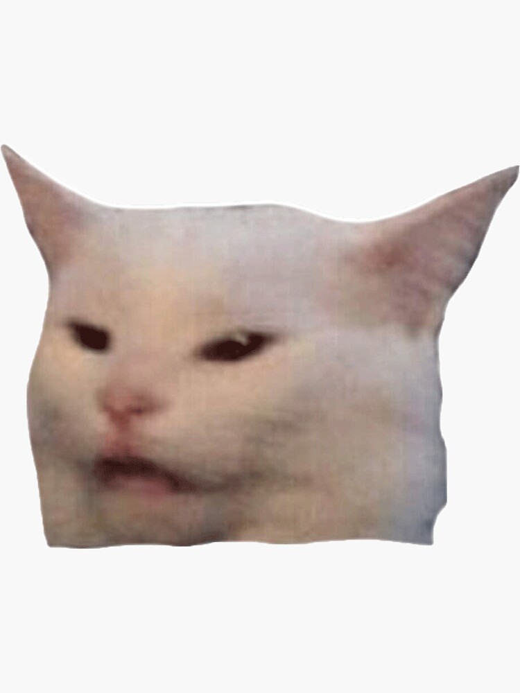 "the cat meme face" Sticker for Sale by MehdiMajd | Redbubble