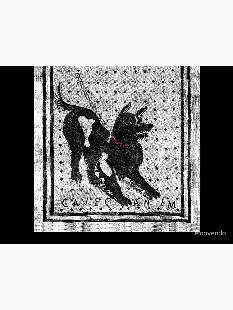 "Cave Canem - Beware of Dog - Pompeii Latin Mosaic" Pet Mat for Sale by ...