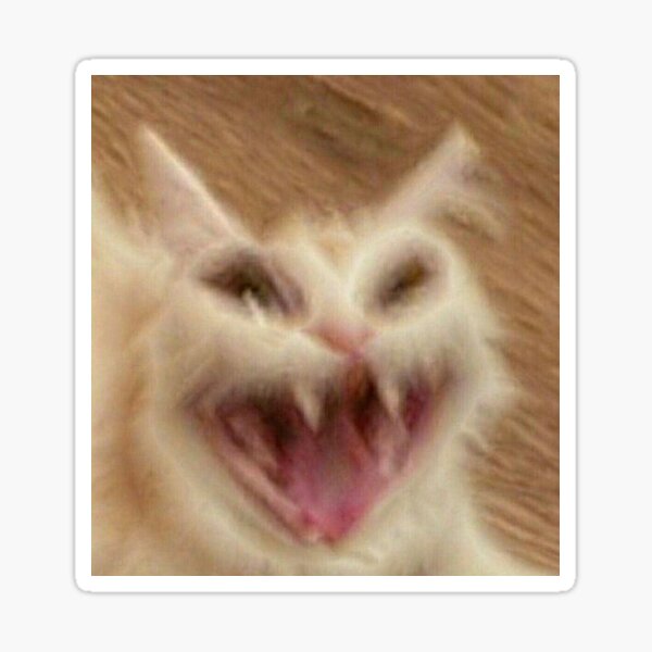 "Cat meme" Sticker for Sale by trashysaiyan | Redbubble