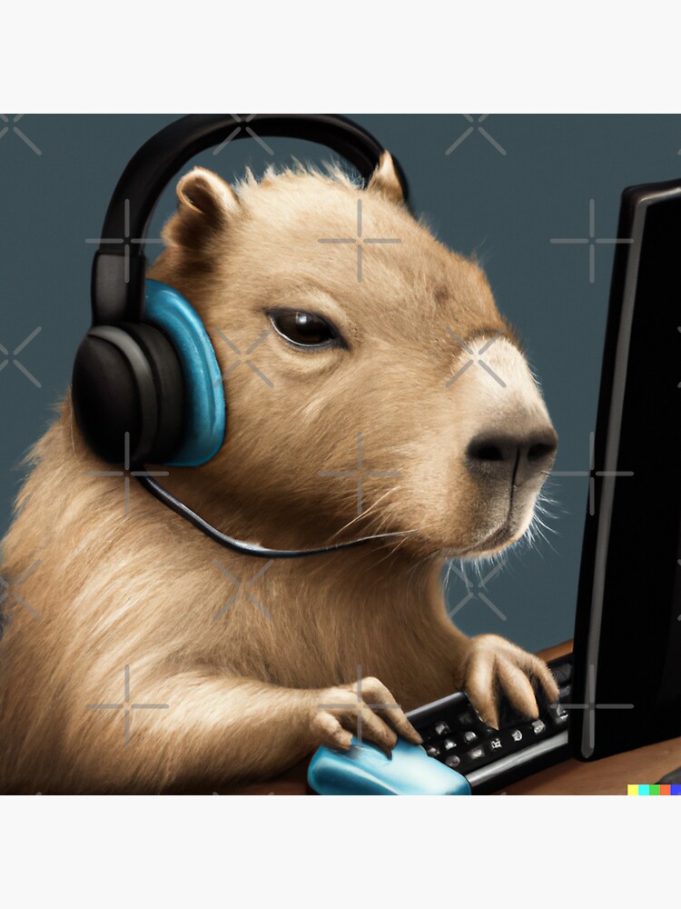 "Capybara Programmer" Sticker for Sale by Haughton-Here | Redbubble