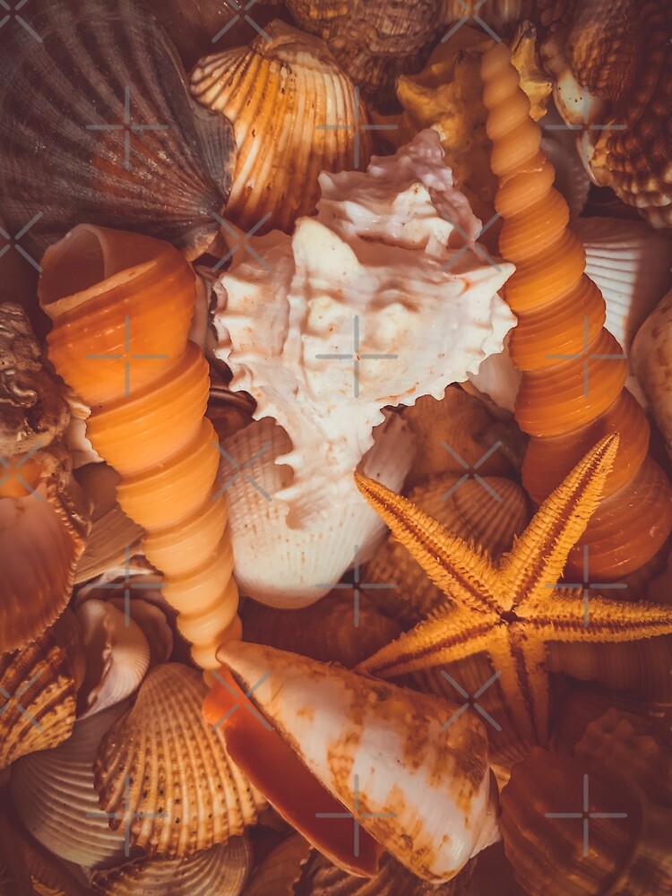 "Sea Nature Shells Starfish Vacation Relax" Poster for Sale by ...