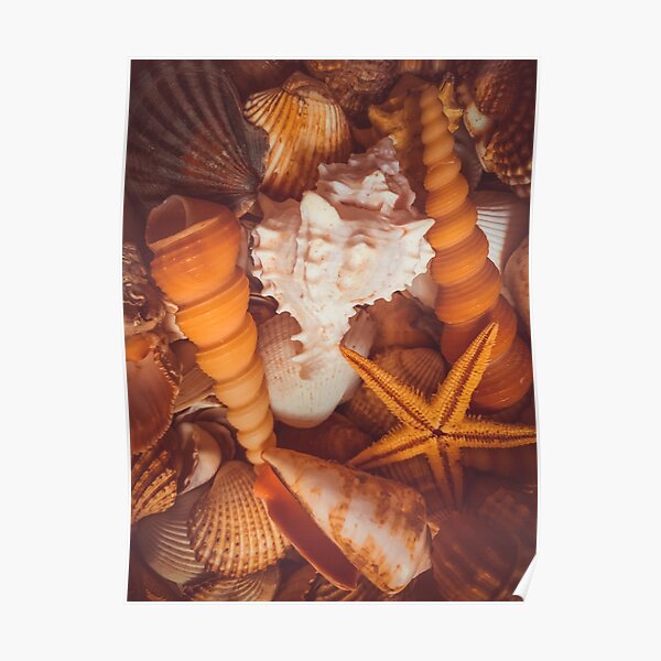 "Sea Nature Shells Starfish Vacation Relax" Poster for Sale by ...