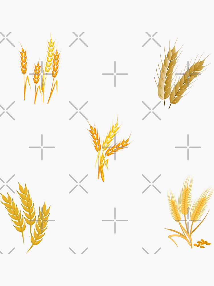 "Wheat Grain " Sticker for Sale by silviaol | Redbubble