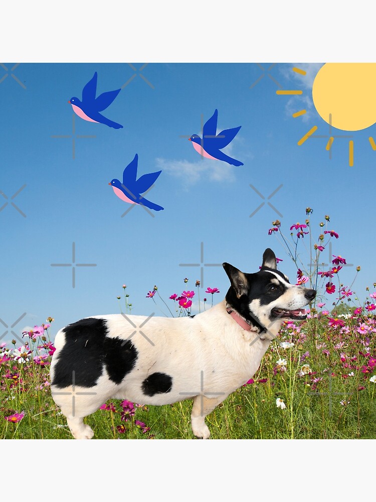 "Spotted Corgi Photo on a Meadow Background" Poster for Sale by All-4 ...
