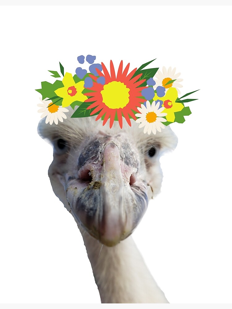 "White Emu with Pretty Flower Crown" Poster for Sale by shoutpolitics88 ...