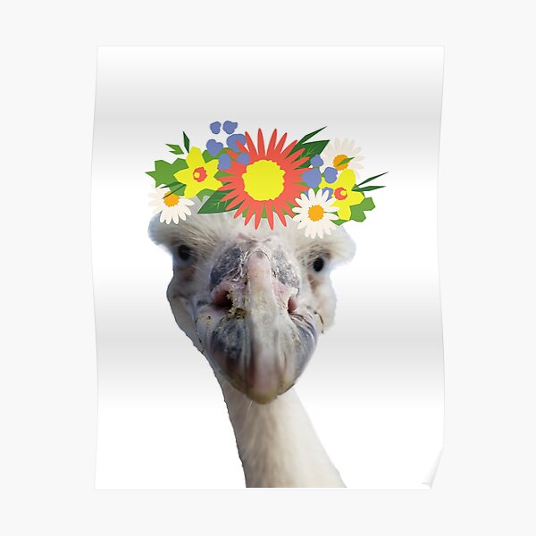 "White Emu with Pretty Flower Crown" Poster for Sale by shoutpolitics88 ...