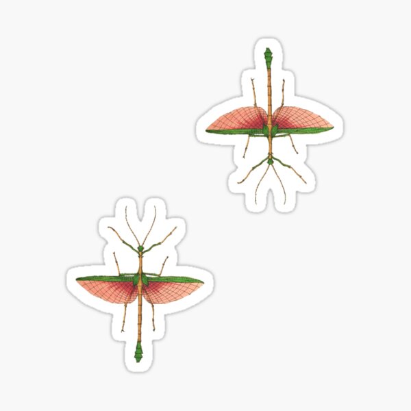 "Stick insect" Sticker for Sale by pimentopepper | Redbubble