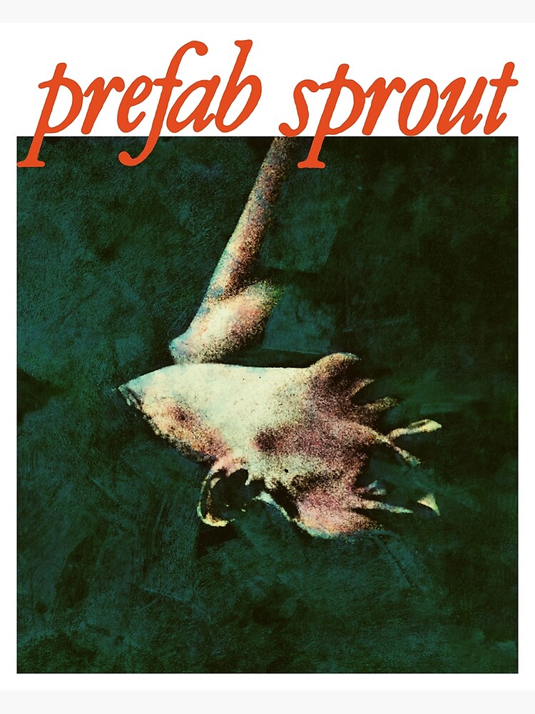"Prefab Sprout - Swoon" Poster for Sale by TamtamTown | Redbubble
