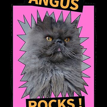 "Angus Rocks cats meme" Poster for Sale by BENJAMINWADDELL | Redbubble