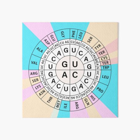 "Codon Chart - Genetic Code" Art Board Print for Sale by MayumiArt ...