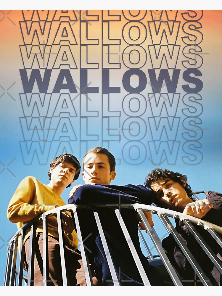 "Music Vintage Retro Band Alternative Wallows Rock Gifts For Music Fans ...