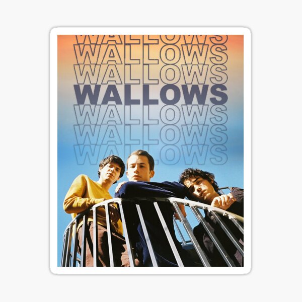 "Music Vintage Retro Band Alternative Wallows Rock Gifts For Music Fans ...