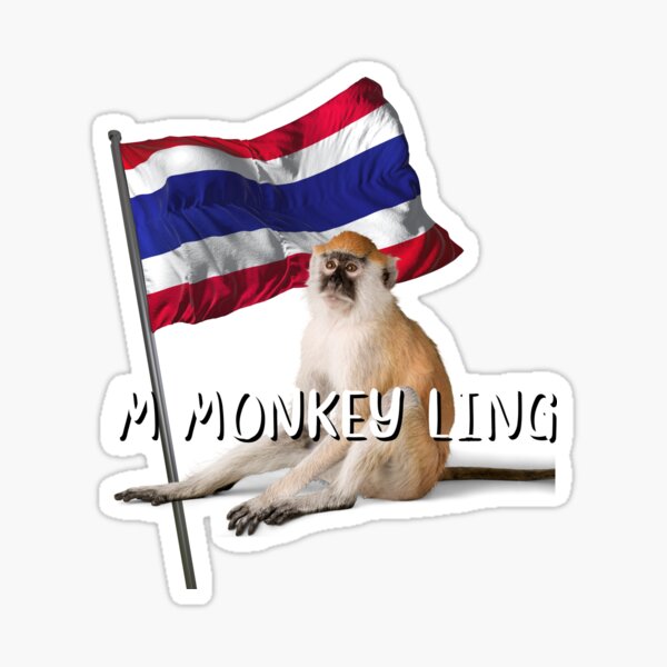 "M monkey ling, english alphabet to thai translation " Sticker for Sale ...