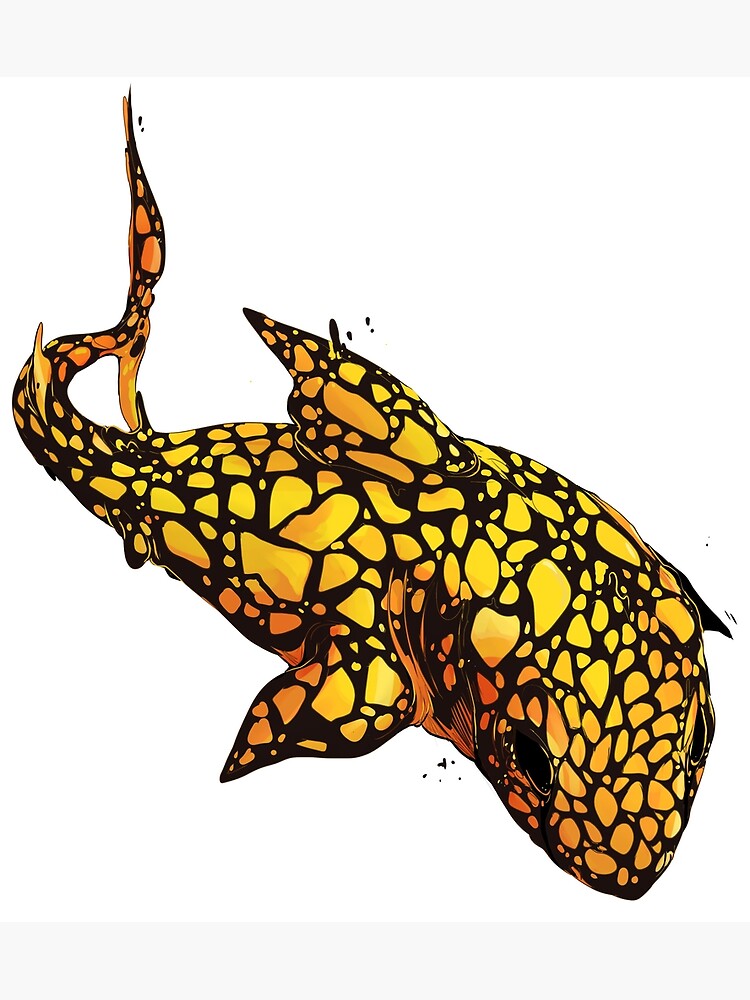 "thats a shiny shark" Photographic Print for Sale by aliensphynx ...