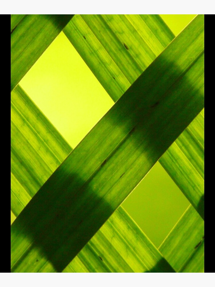 "sage green draw lines " Art Print for Sale by ScandiT55 | Redbubble