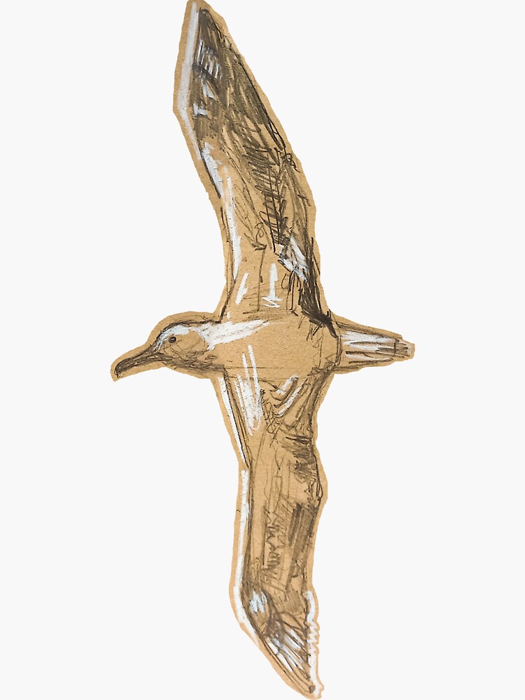 "Royal Albatross Rough Sketch" Sticker for Sale by joy-wanam | Redbubble