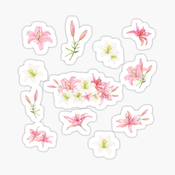 "Lily Set Pack" Sticker for Sale by PieceOfA | Redbubble