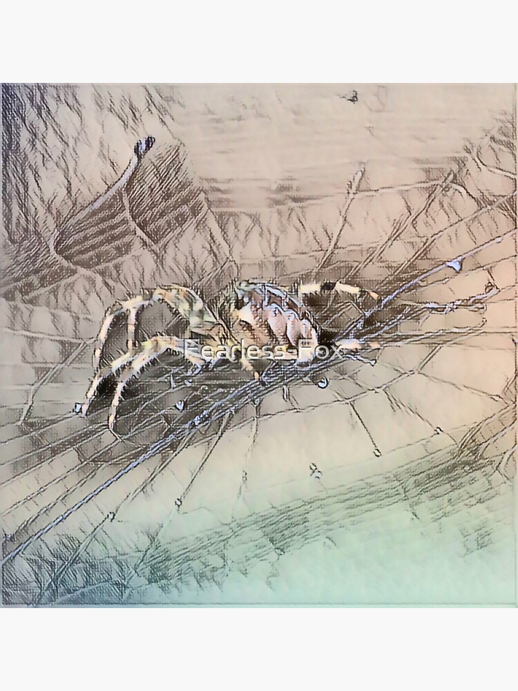 "Silky Spider In Pen And Ink" Poster for Sale by Fearless-Fox | Redbubble