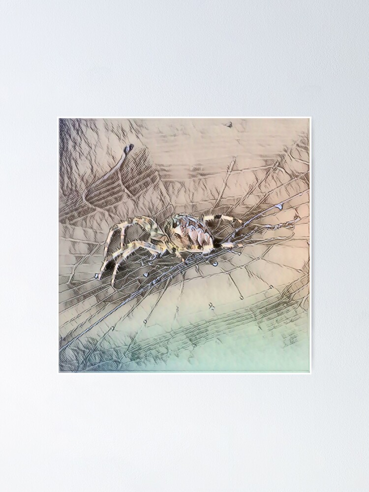 "Silky Spider In Pen And Ink" Poster for Sale by Fearless-Fox | Redbubble