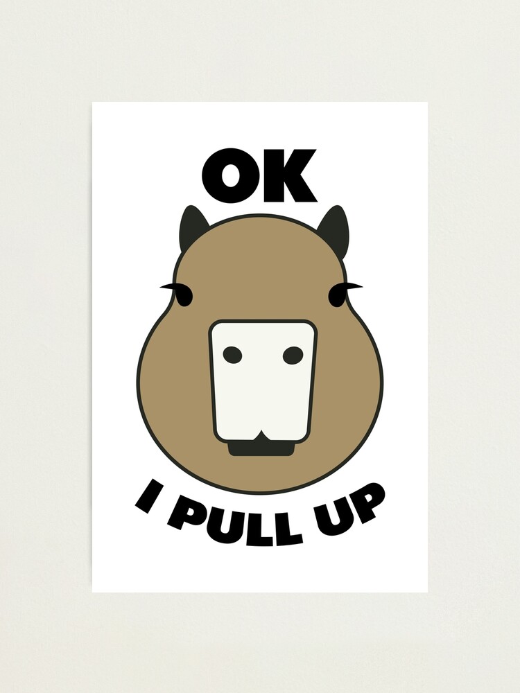 "Illustrated capybara ok i pull up meme" Photographic Print for Sale by ...