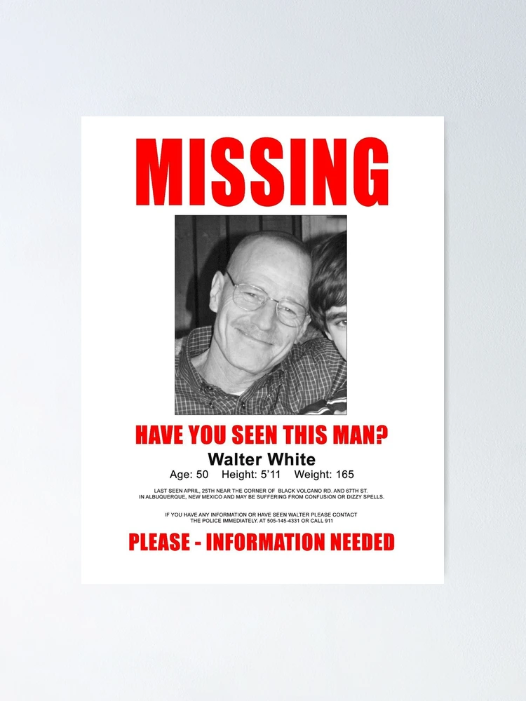 Walter White Missing Poster Netflix Basic With Ads Tier Still Missing