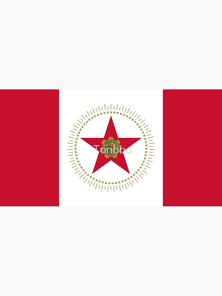 "Flag of Birmingham, Alabama" Canvas Print for Sale by Tonbbo | Redbubble