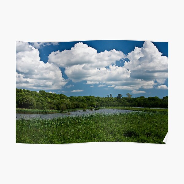 Nature Reserve Posters | Redbubble