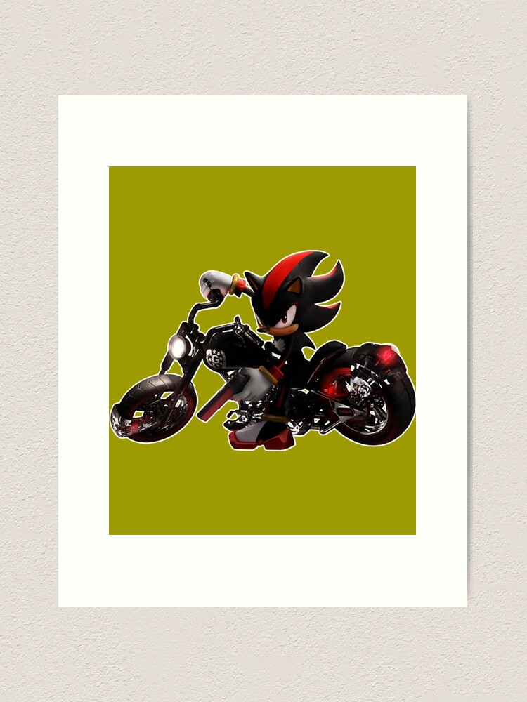 Shadow The Hedgehog On A Motorcycle