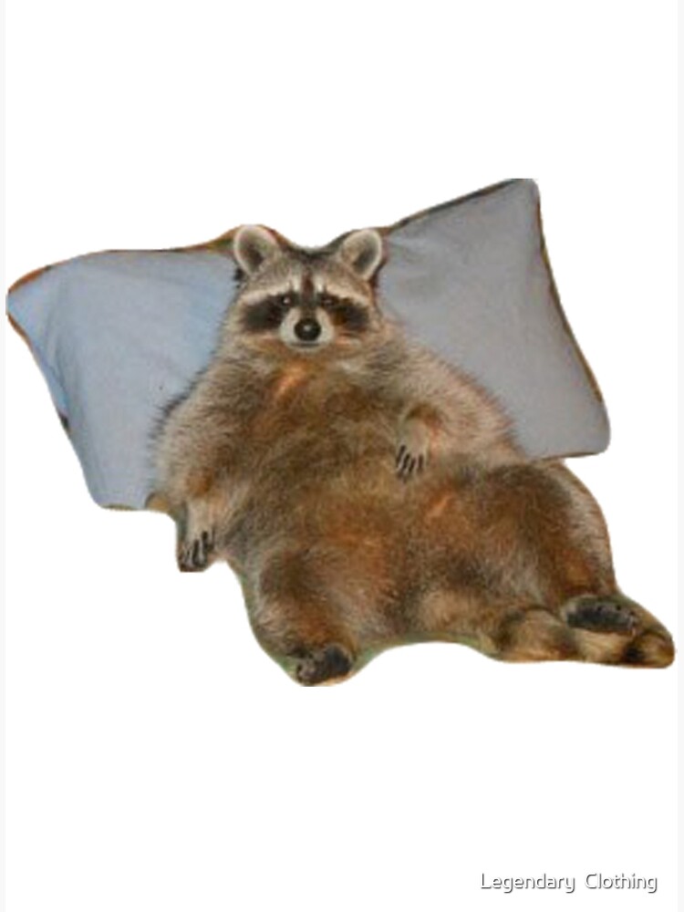 "Fat Raccoon Meme Chilling" Poster for Sale by LegendsofBoxing | Redbubble