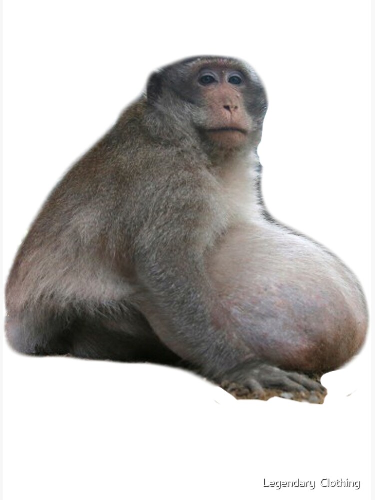 "Uncle Fatty Monkey Meme Big Sticker" Poster for Sale by ...