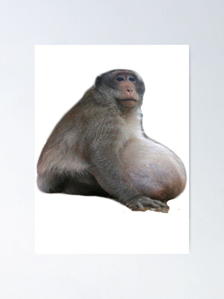 "Uncle Fatty Monkey Meme Big Sticker" Poster for Sale by ...