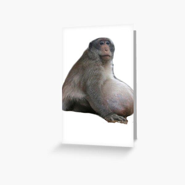 "Uncle Fatty Monkey Meme Big Sticker" Greeting Card for Sale by ...