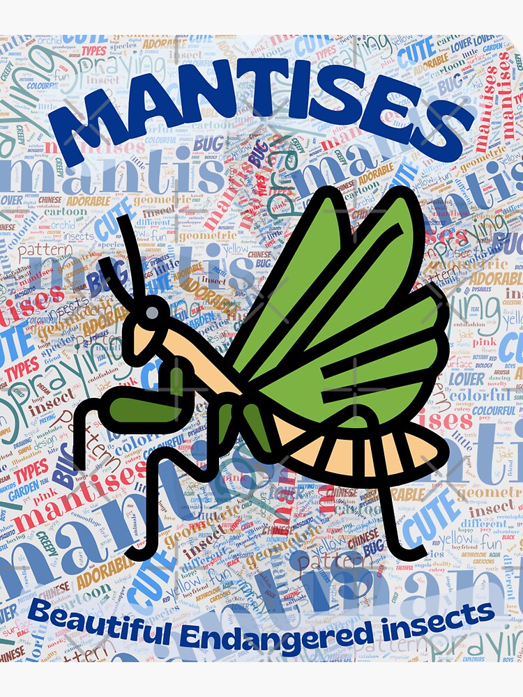 "Beautiful Praying Mantises" Sticker for Sale by yassooarts | Redbubble