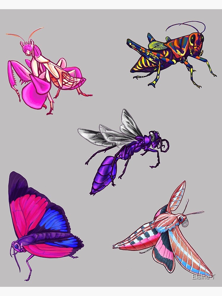 "Pride Bugs Set 1" Poster for Sale by elntangle | Redbubble