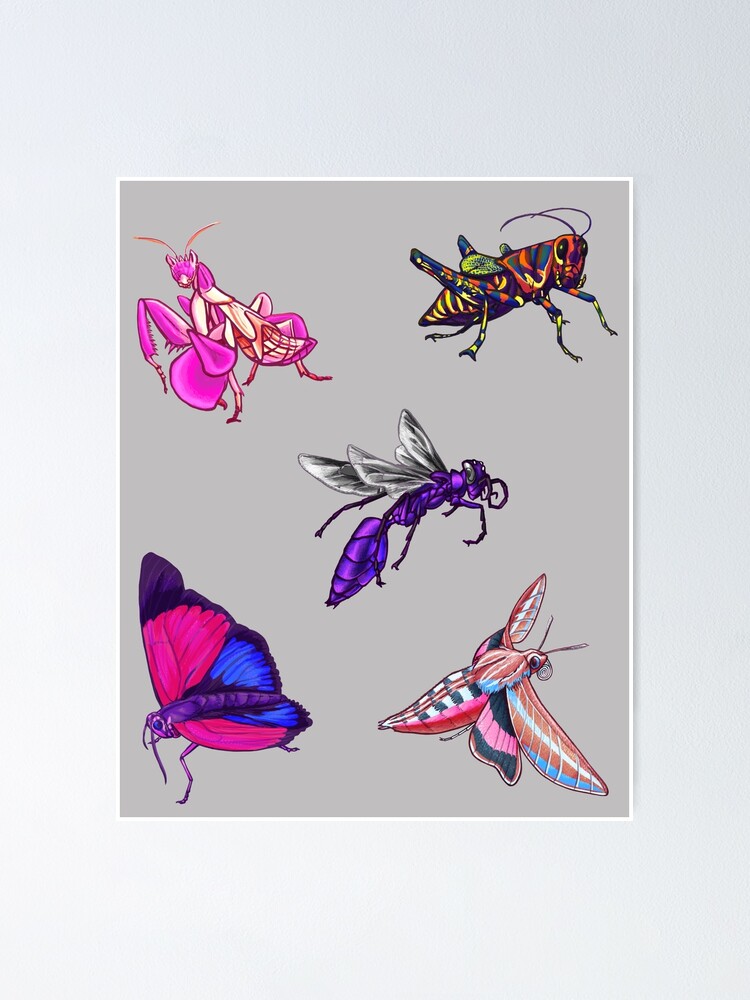 "Pride Bugs Set 1" Poster for Sale by elntangle | Redbubble