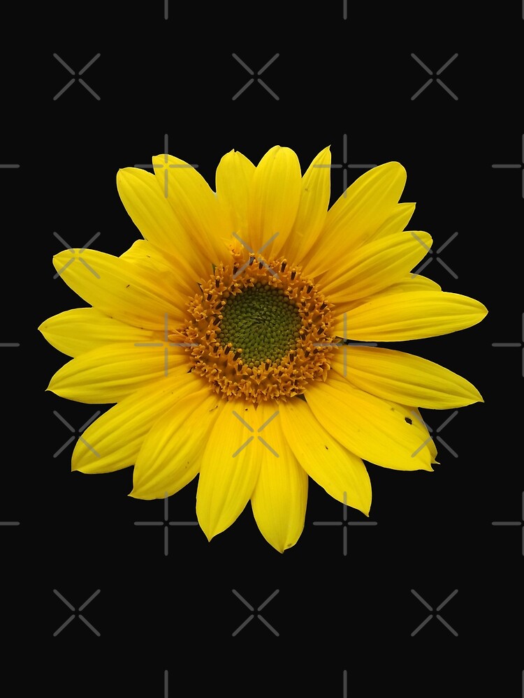 "Sunflower 1" Poster for Sale by Pontom46 | Redbubble