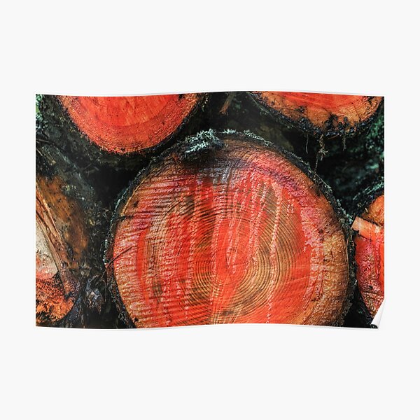 "Wood Stain" Poster for Sale by butterbean57 | Redbubble