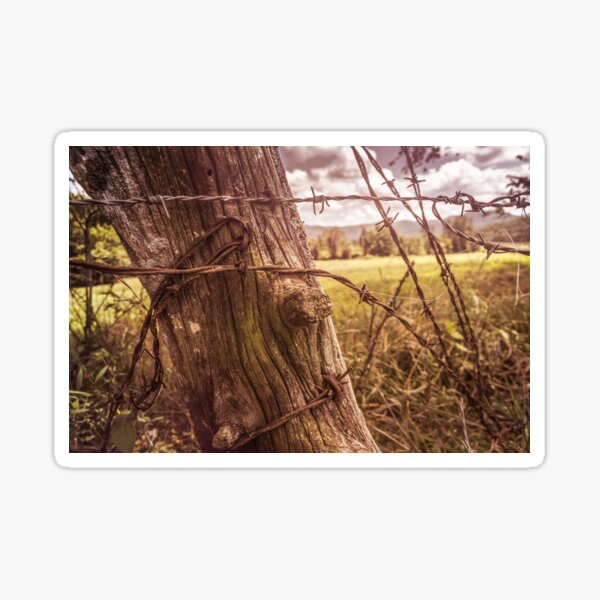 "Tetanus" Sticker for Sale by butterbean57 | Redbubble
