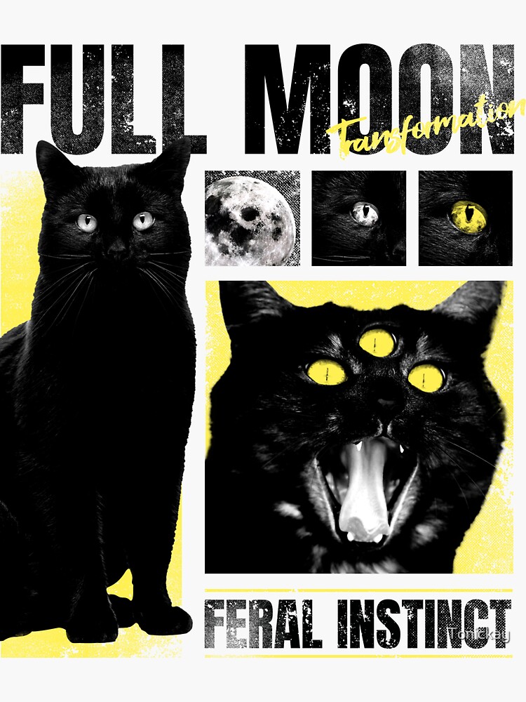 "Full moon feral cat" Sticker for Sale by Tonickay | Redbubble