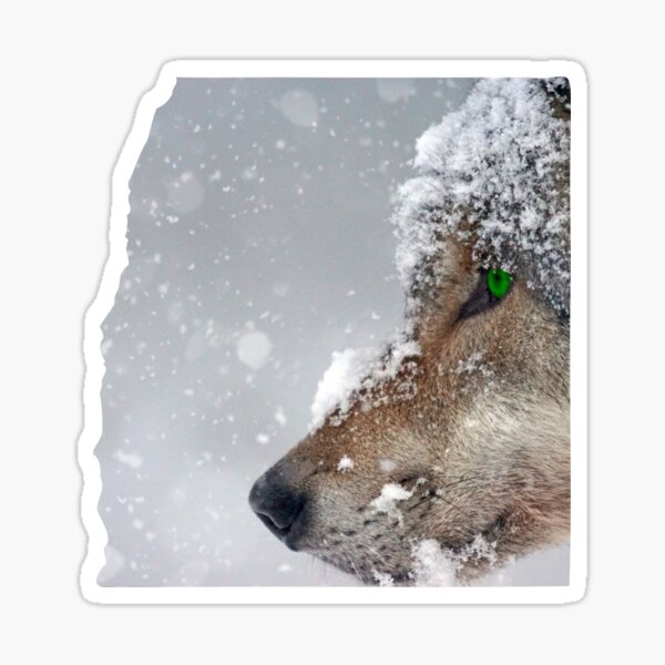 "Wolf, Funny wolf" Sticker for Sale by BassmaMaher | Redbubble