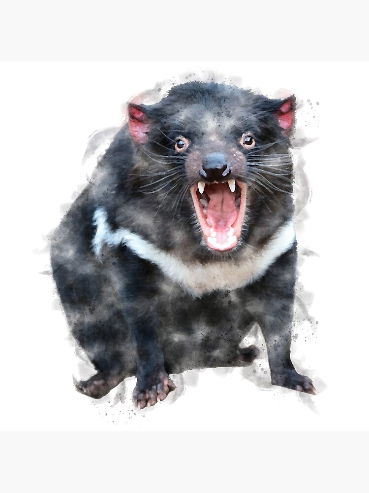 "Tasmanian Devil Watercolour Artwork" Poster for Sale by Typeglyphs ...