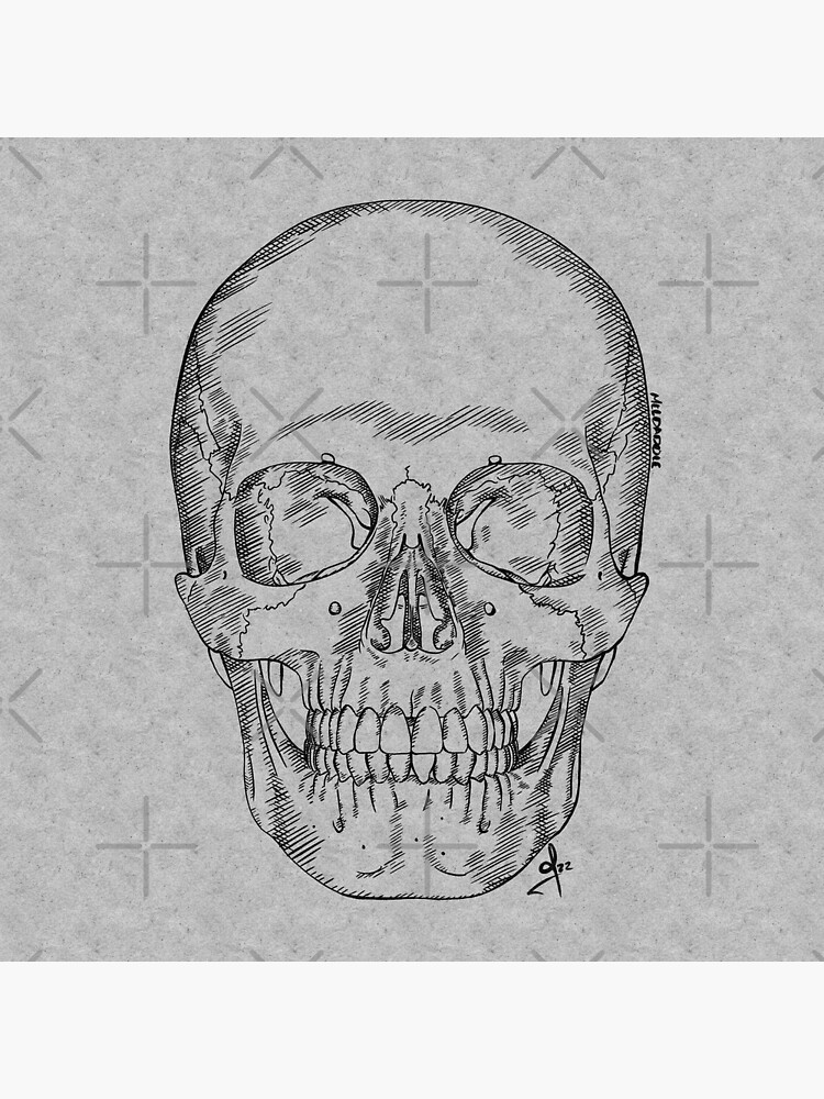 "Human Skull Cross-Hatching" Poster for Sale by melda-dole | Redbubble