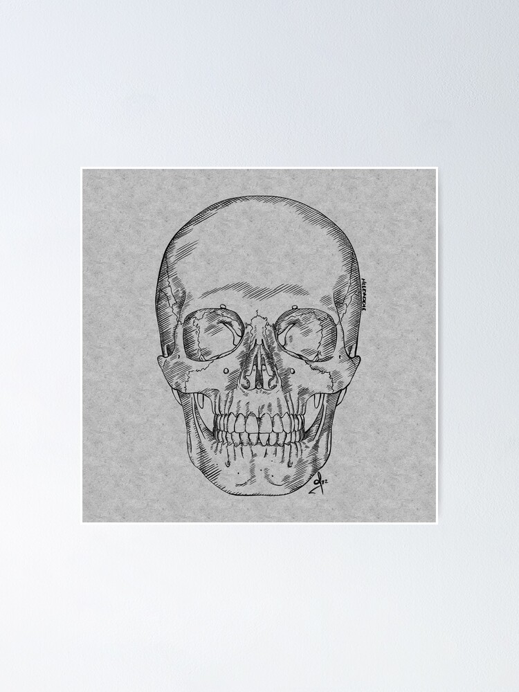 "Human Skull Cross-Hatching" Poster for Sale by melda-dole | Redbubble