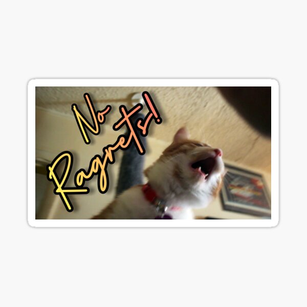 "Gonzo the Cat has No Regrets" Sticker for Sale by charliebrowntc ...