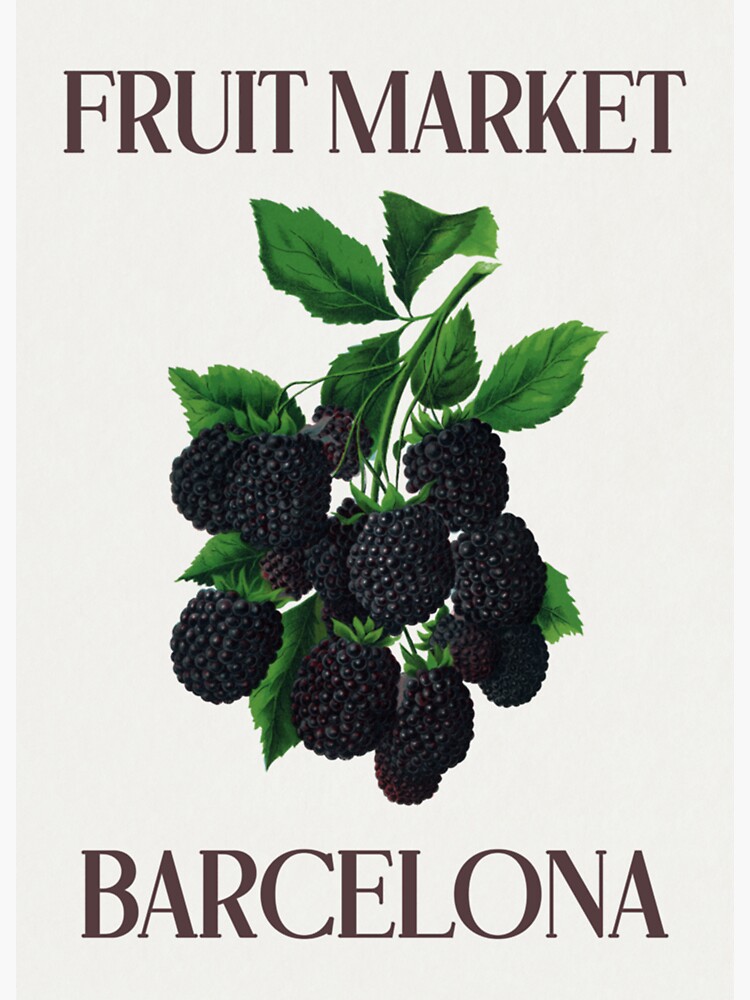 "Barcelona Fruit Market, Minimalist Aesthetic Design " Sticker for Sale by IrisLudwig | Redbubble